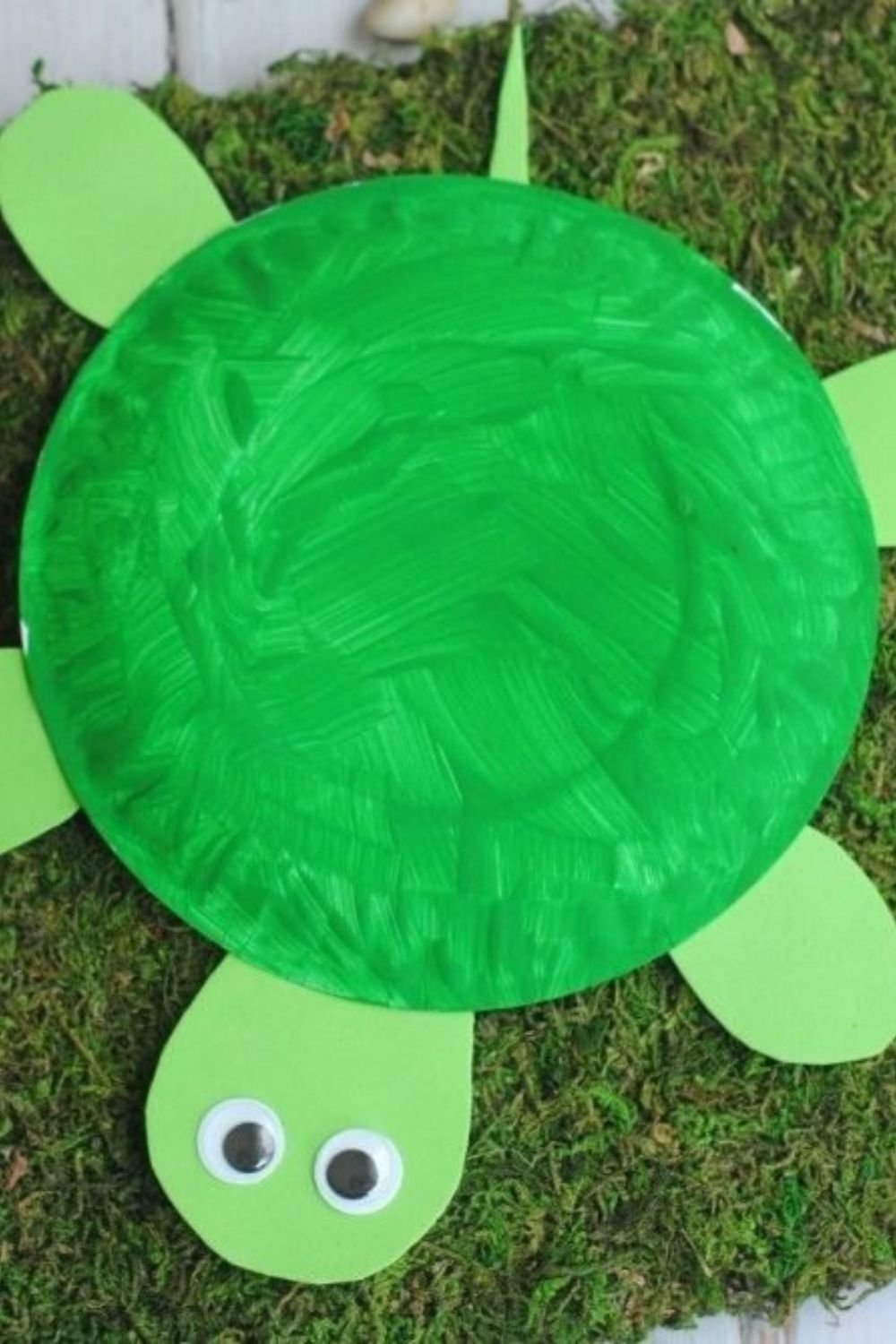 24 Turtle Craft Ideas For 2026 – This Girl Know